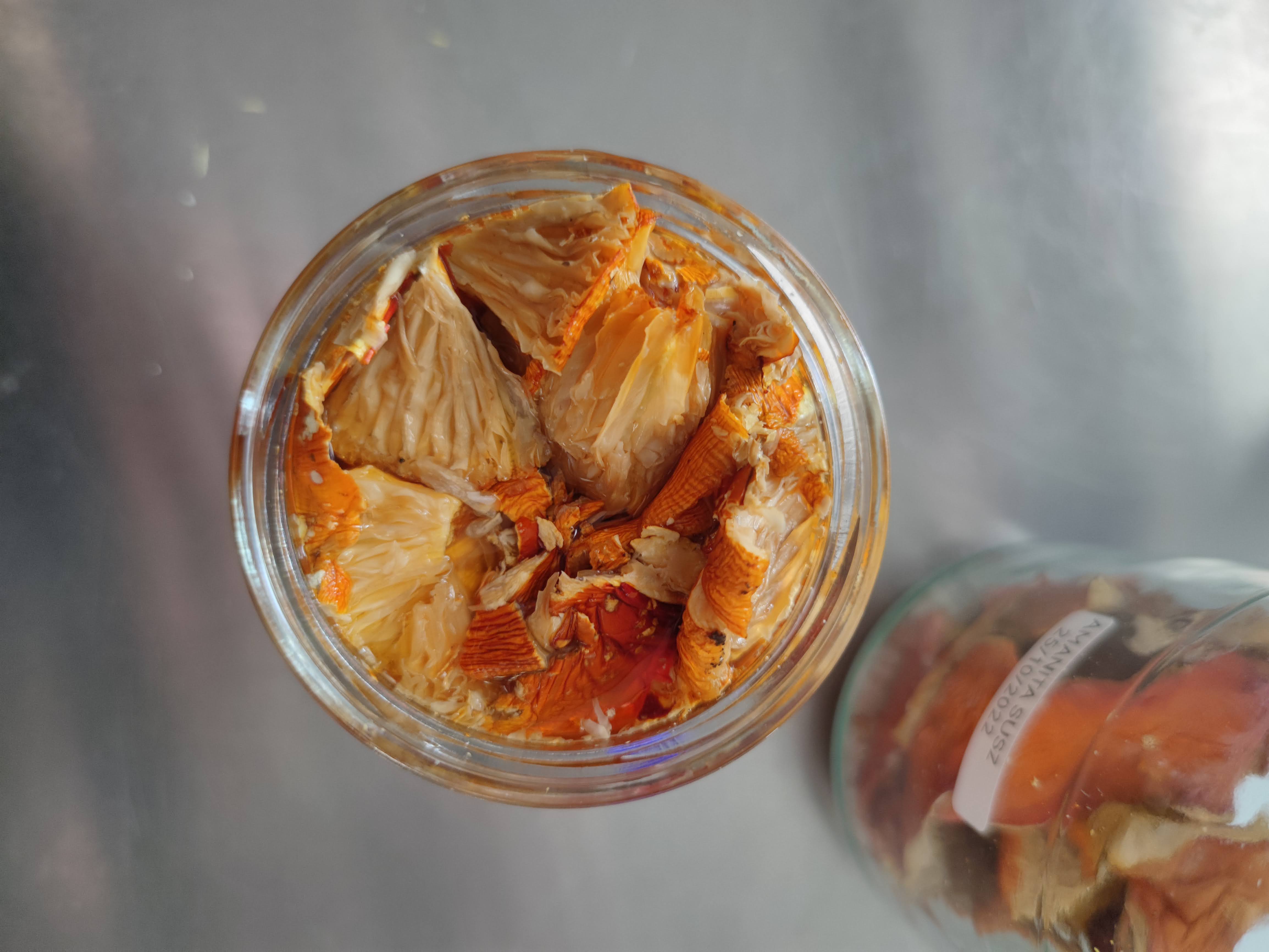 Ambrozja z muchomora czerwonego – Muchozmor